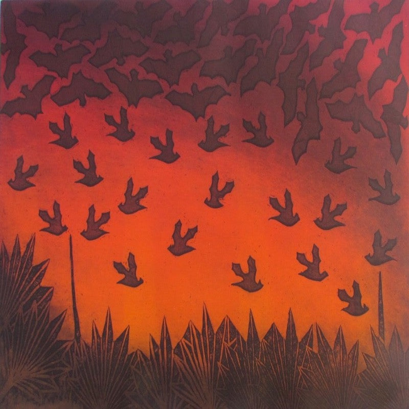 "Minha Mo'othe" Fruit Bats in Kugu language – Pormpuraaw